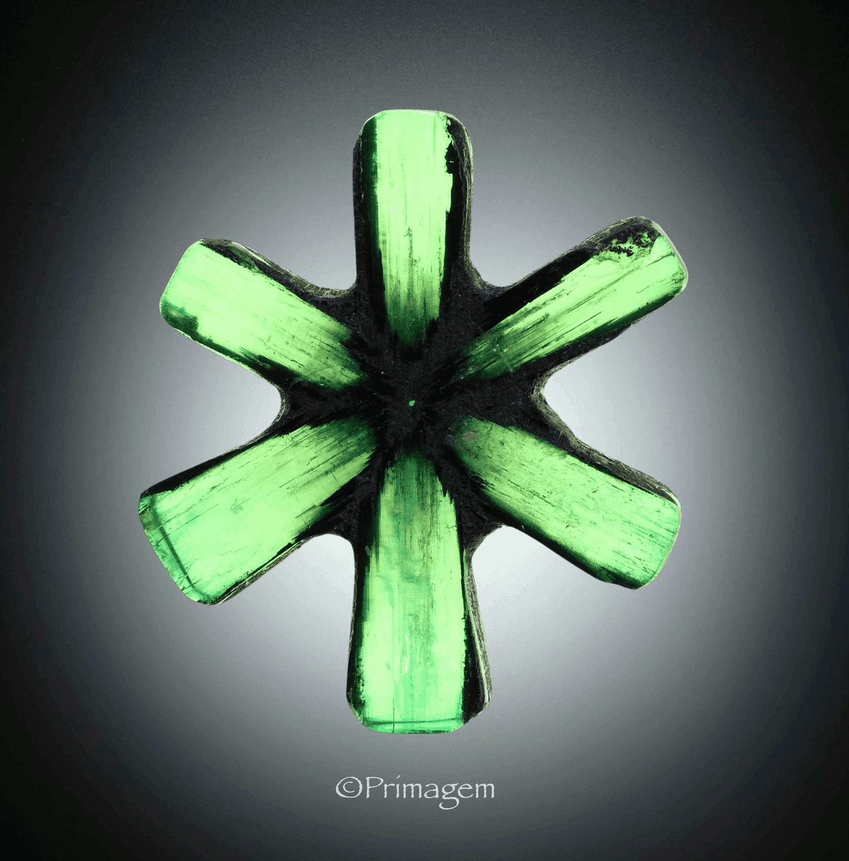 What is a Trapiche Emerald? - International Gem Society - International ...