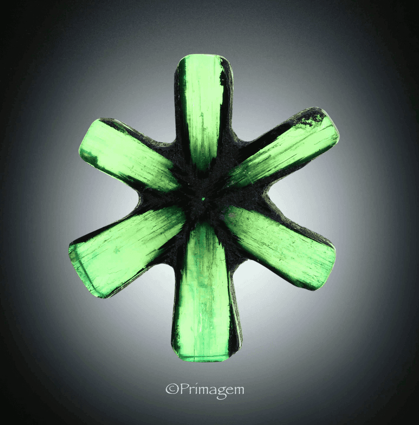 What is a Trapiche Emerald? - International Gem Society