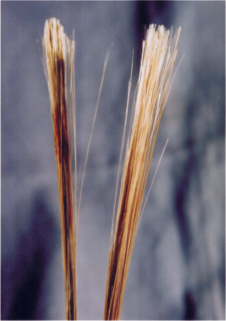 Brucite Value, Price, and Jewelry Information - Gem Society