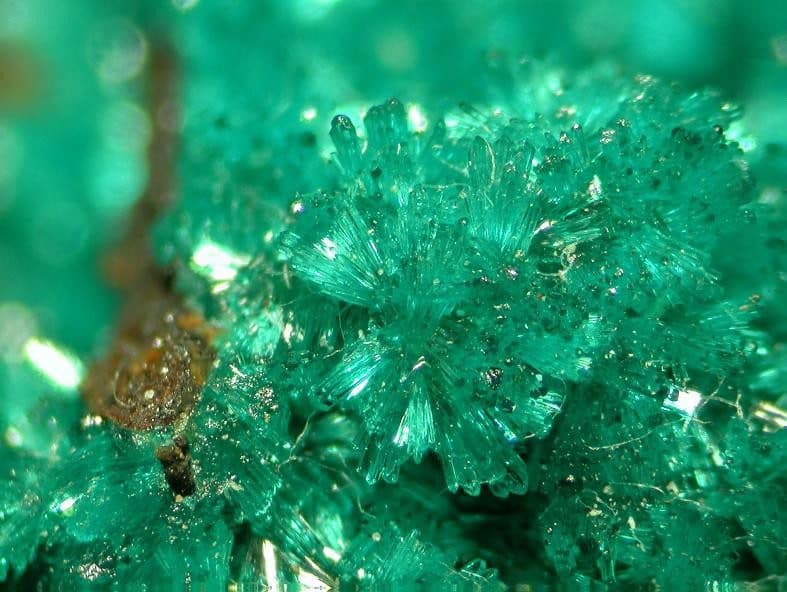 Dioptase Value, Price, and Jewelry Information - International Gem Society