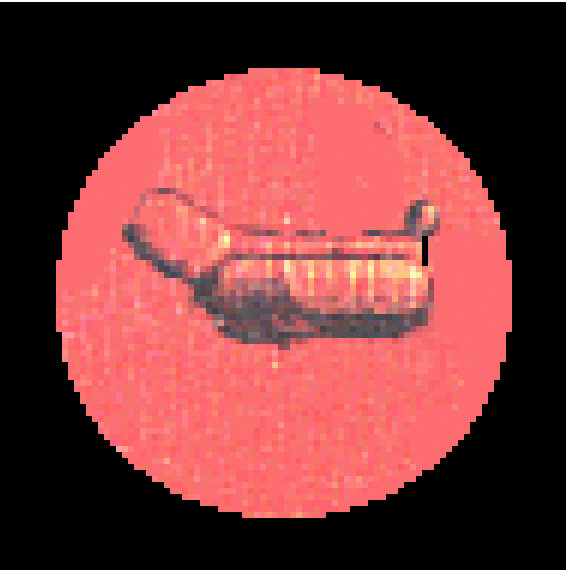 An Introduction to Gemstone Inclusions - International Gem Society