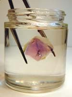 Jewelry and Gem Show FAQ - International Gem Society