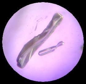 Gemstone Visual Examination Quizzes - International Gem Society