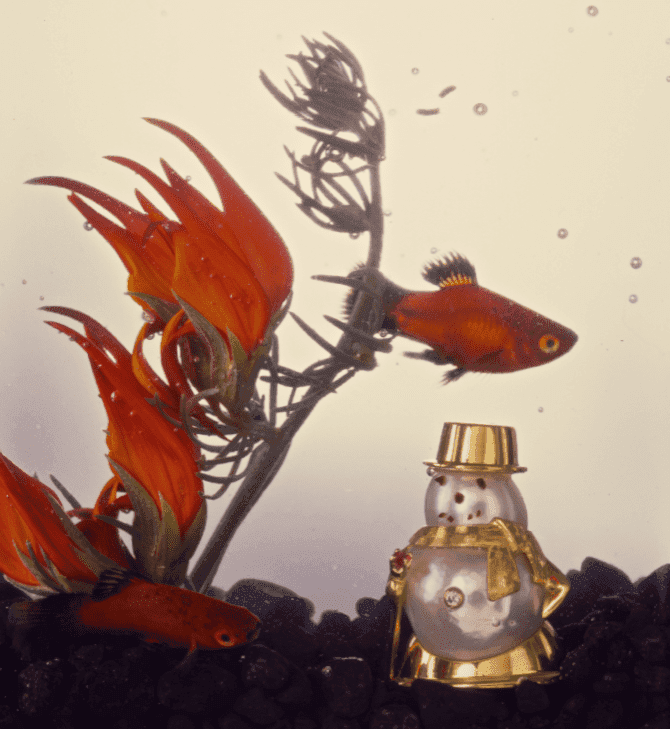 An Interview with Pearl Expert Jim Grahl - International Gem Society