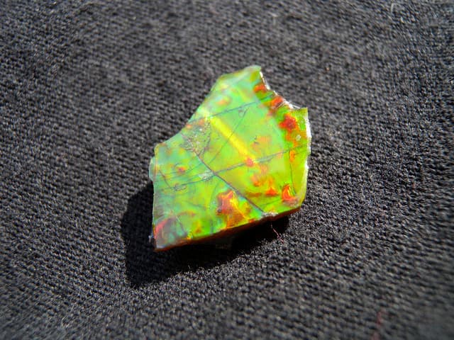 Ammolite - Natural, Rough, Yellow - International Gem Society