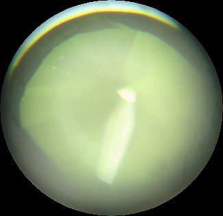 Buying Gems: Test Your Identification Skills - Gem Society