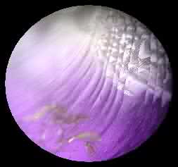 Gemstone Visual Examination Quizzes - International Gem Society