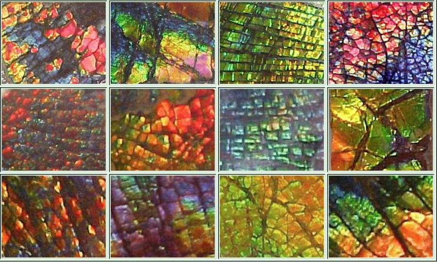 Ammolite Value, Price, and Jewelry Information - International Gem Society