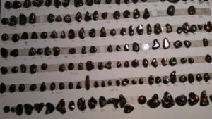 Top Spots for Gem Hunting in the US - International Gem Society