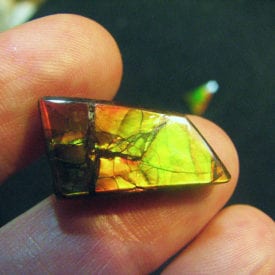 Ammolite Value, Price, and Jewelry Information