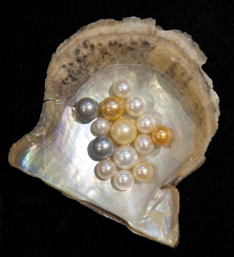 Pearl Value, Price, and Jewelry Information - International Gem Society