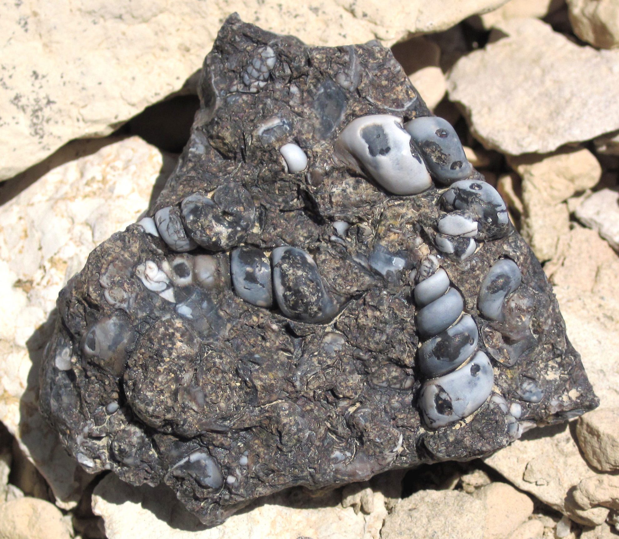 Agate - Natural, Rough, Gray - International Gem Society