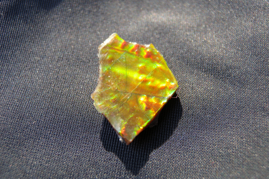Ammolite Buying Guide - International Gem Society - IGS