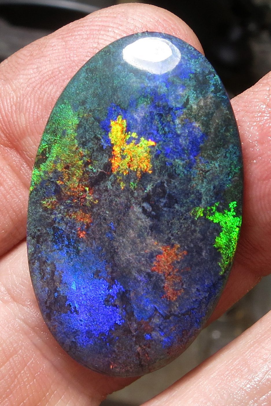 Opal Stone - Natural, Cabochon, Black - International Gem Society