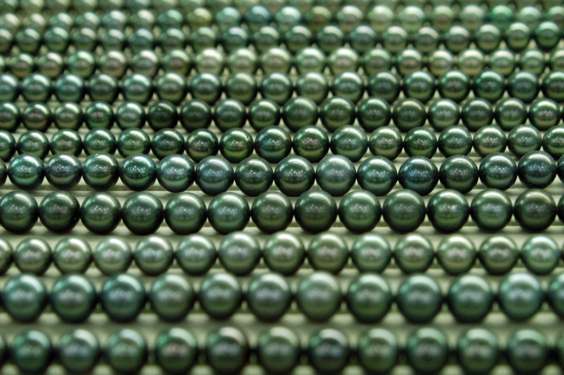 Pearl - Natural, Rough, Green - International Gem Society